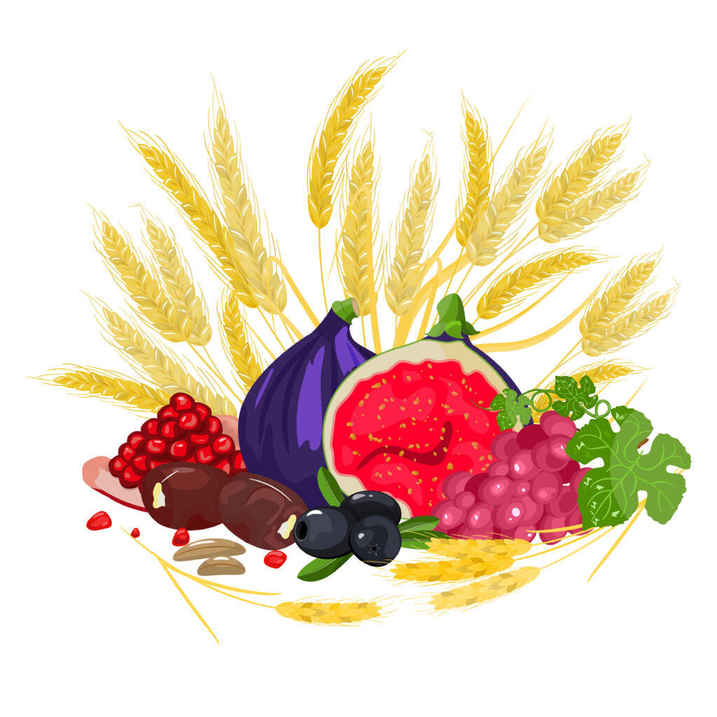 THE VERY DIFFERENT MITZVA OF BIKKURIM - Rabbi Pini Dunner