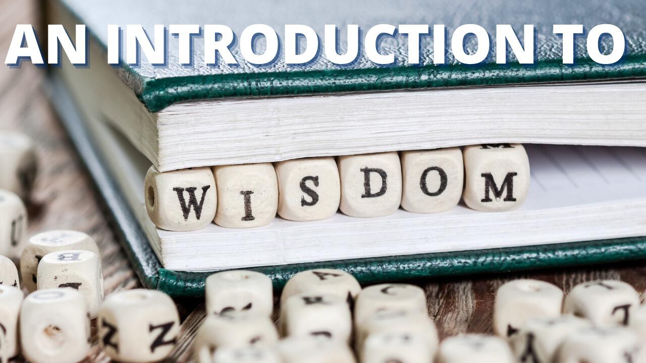 AN INTRODUCTION TO WISDOM - Rabbi Pini Dunner