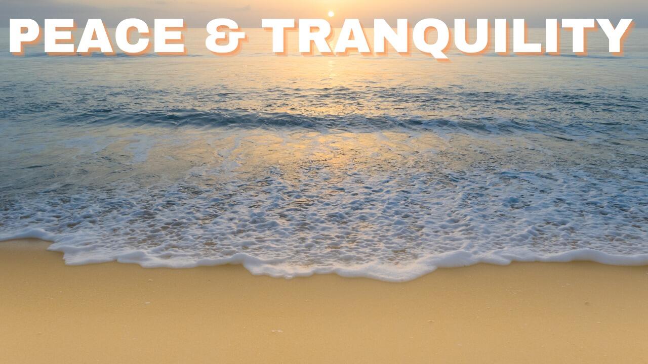 PEACE AND TRANQUILITY (VIDEO) - Rabbi Pini Dunner
