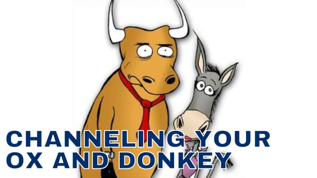 CHANNELING YOUR OX AND DONKEY - Rabbi Pini Dunner