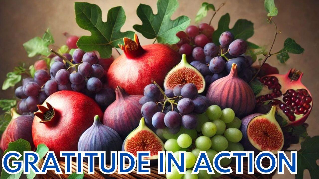 GRATITUDE IN ACTION - Rabbi Pini Dunner